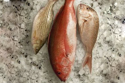 Butchery Classes NYC, New York | CourseHorse