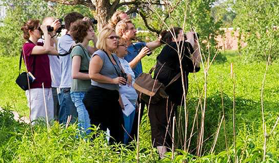 Introduction to Bird-Watching [Class in Chicago] @ Chicago Botanic ...