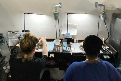 The Art of Metalsmithing Jewelry Design - All Levels - Metalsmithing ...