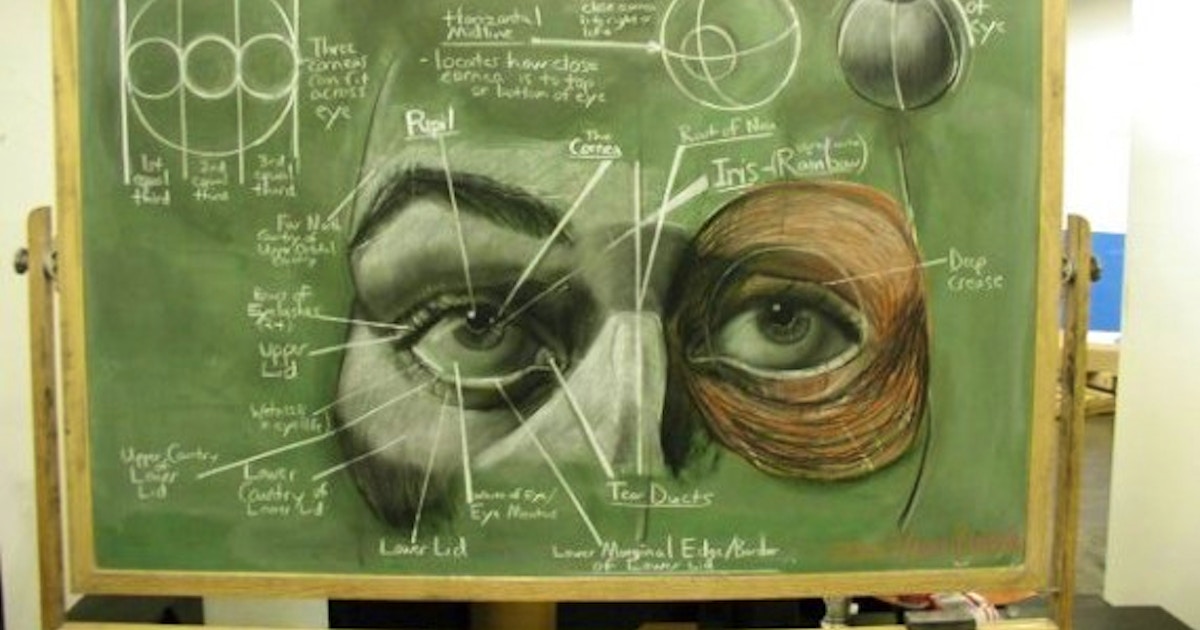 Introduction To Anatomy Drawing Classes New York