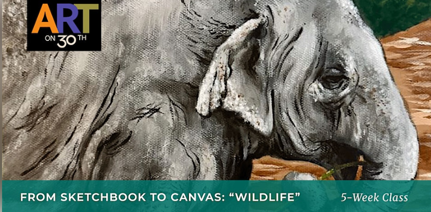 From Sketchbook to Canvas: "Wildlife - Portrait Drawing Classes San ...